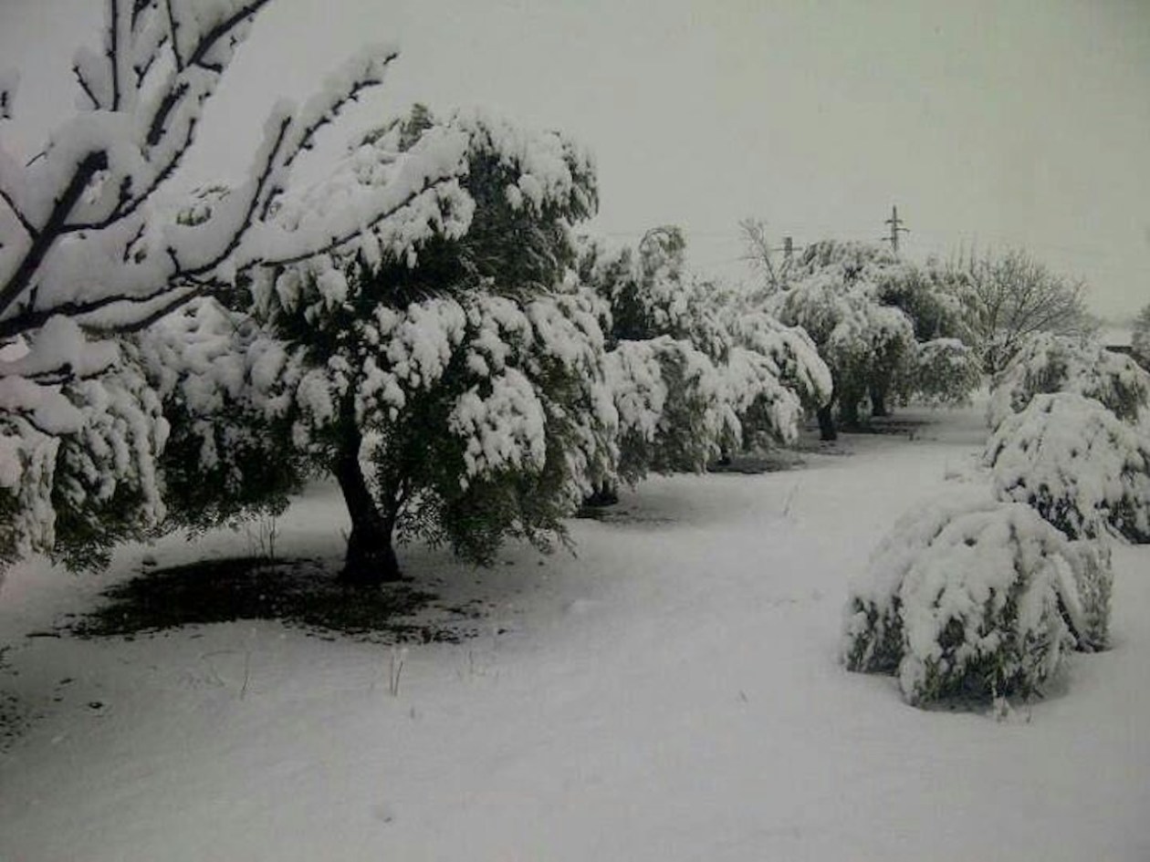 Winter in Lebanon: Real Pictures from the March 2012 Blizzard | A ...