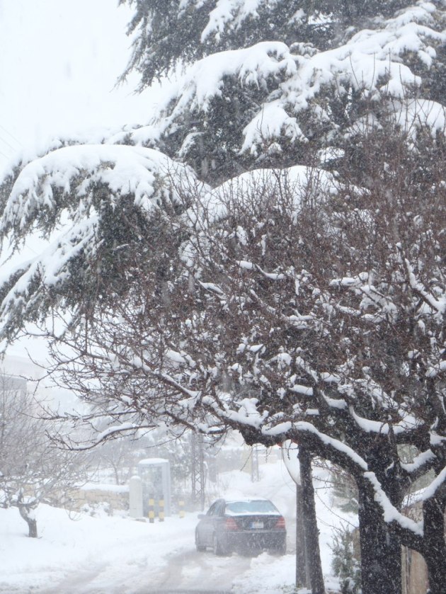 Winter in Lebanon: Real Pictures from the March 2012 Blizzard | A ...