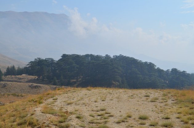 Summer in Lebanon: A Trip Through the Lebanese Mountains | A Separate ...