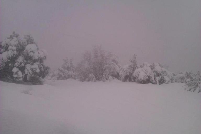 Lebanon’s January 2013 Storm In Pictures | A Separate State of Mind | A ...